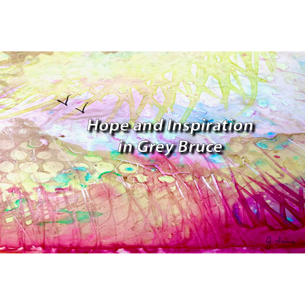 Bluewater Association for Lifelong Learning – bluewaterlearns